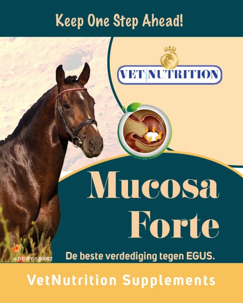 Mucosa Forte P & R